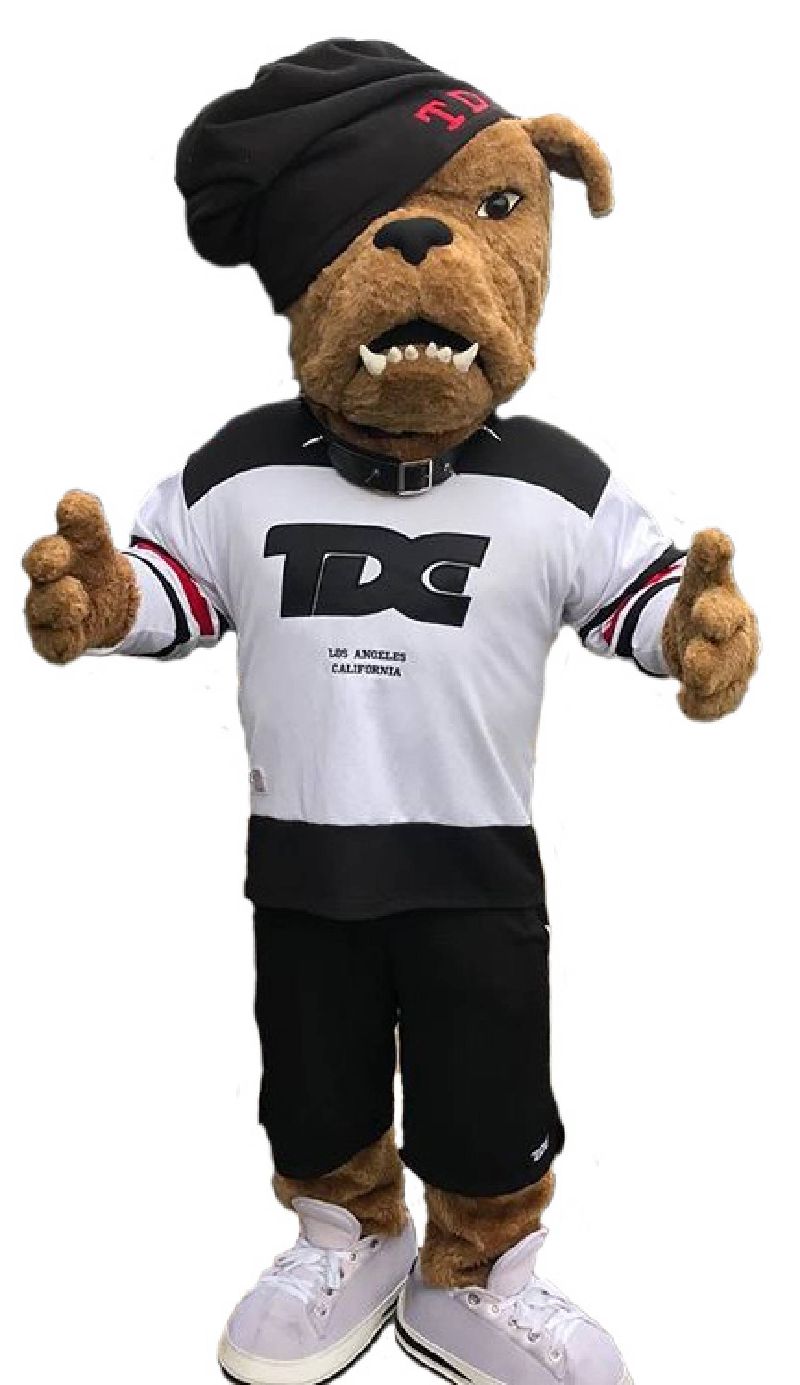 Character Mascot Costumes